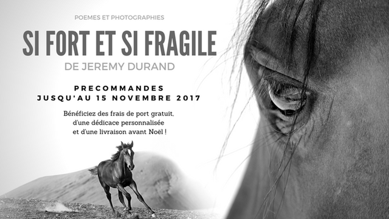 Beau Livre : Si fort et si fragile