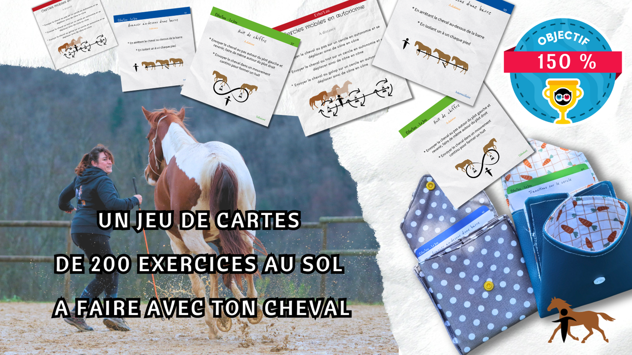 200 Cartes d'exercices à faire au sol avec ton cheval - Ulule