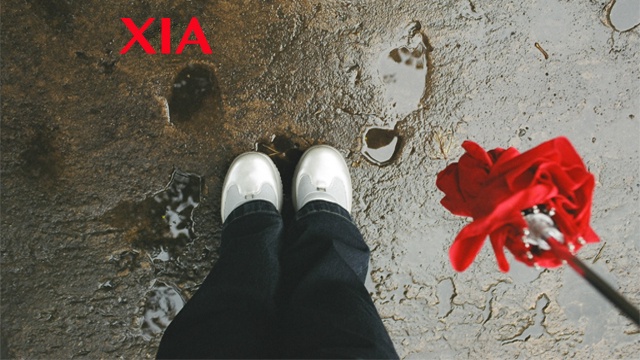 XIA - Ulule
