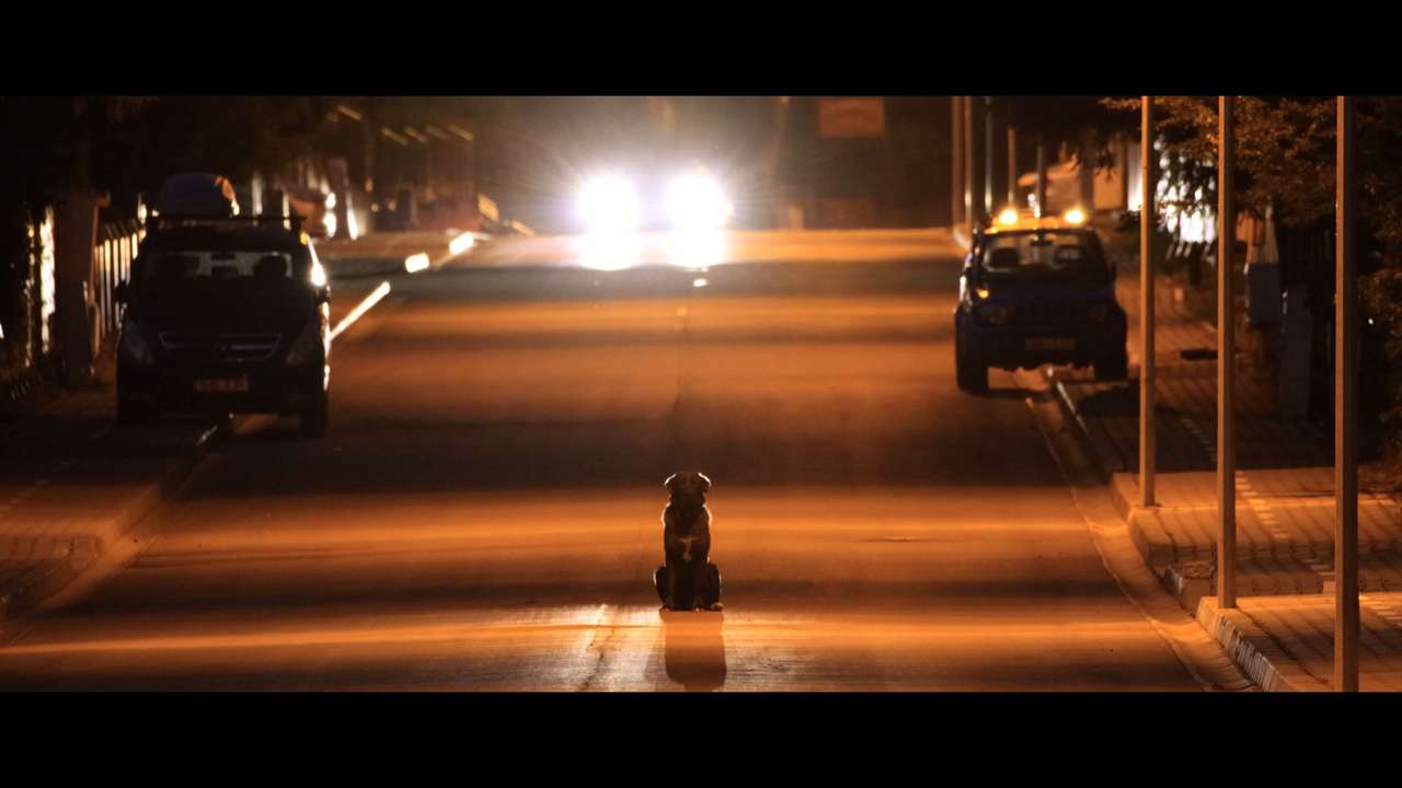 SANS COLLIERS, le film