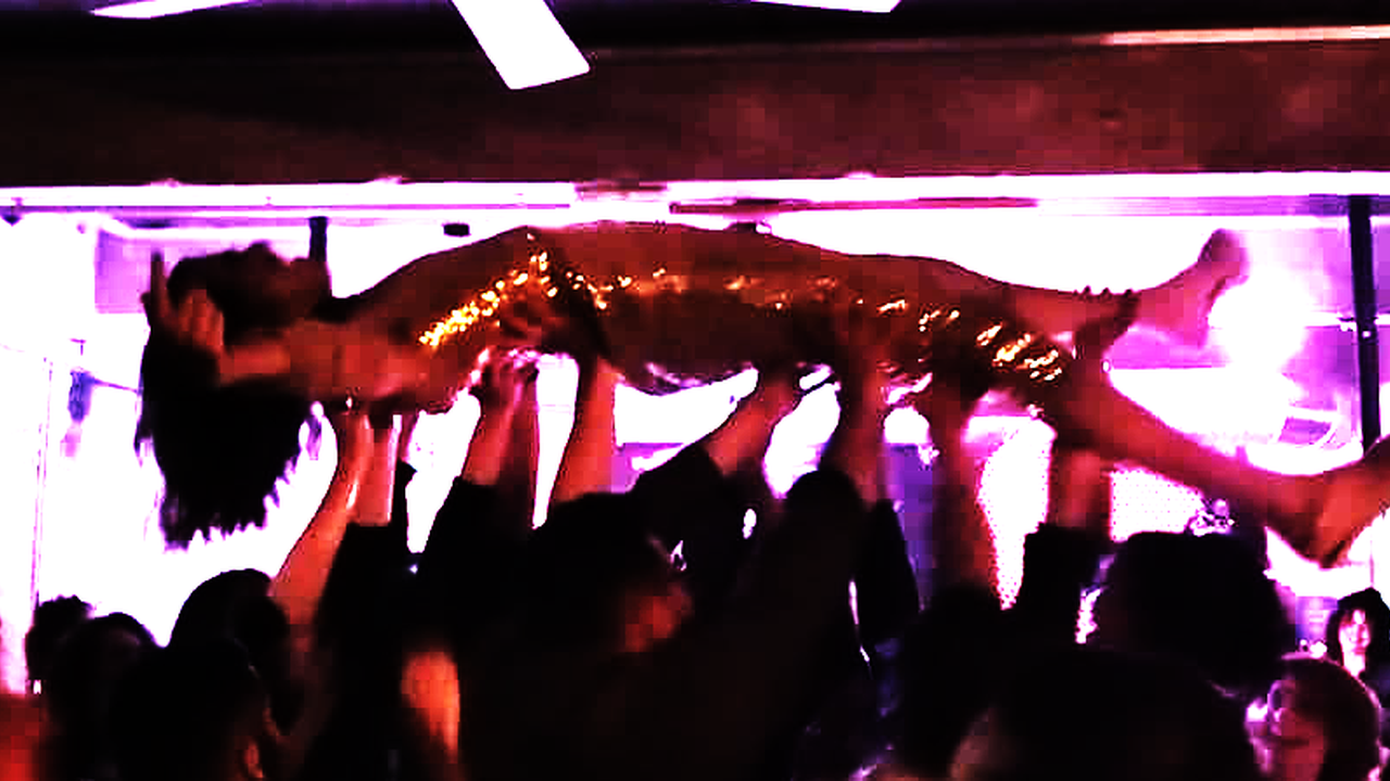 Punk à chien / HSBC