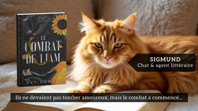 Le Combat de Liam