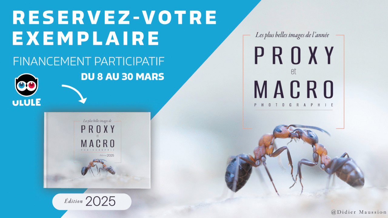 MACRO et PROXY - les plus belles images - Édition 2025
