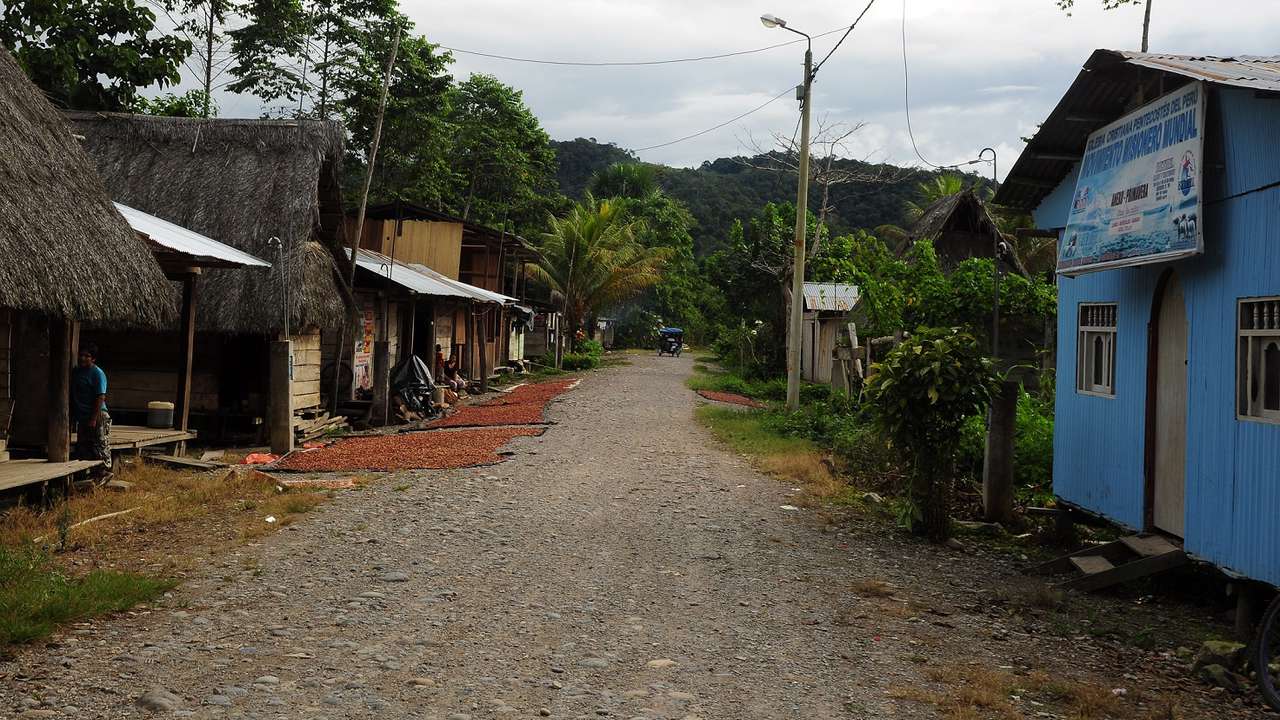 Le séchoir à cacao de Primavera