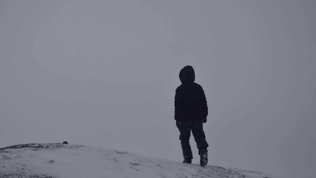 Un artiste en arctique - Ulule