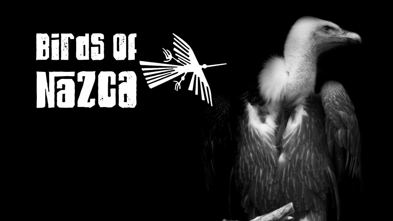 Vinyle Birds of Nazca - Ulule