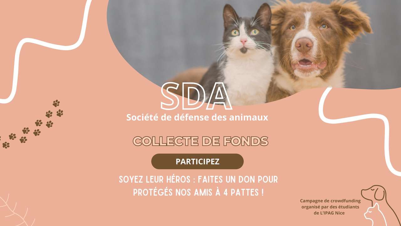 Collecte de fonds — SDA Nice