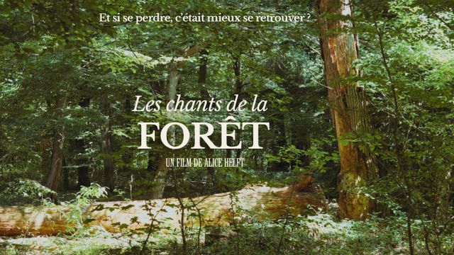 Les chants de la forêt