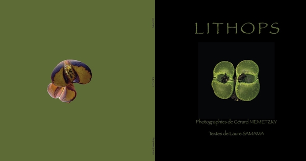 Le livre de l'exposition LITHOPS du OFF à Arles