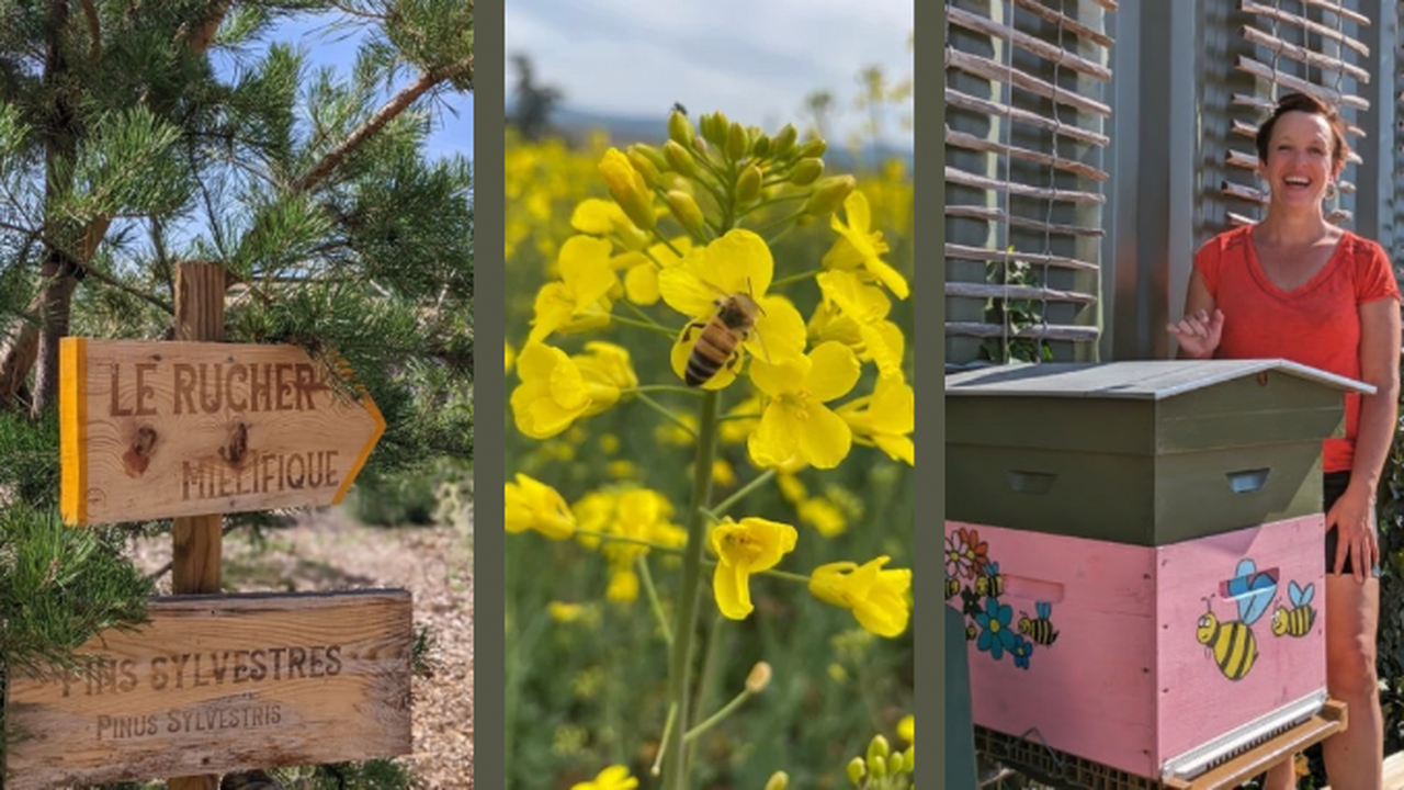Nouvel espace de travail pour La Ferme Mielifique à Mornant - Ulule