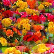 Jean-Marie Huet - Ulule