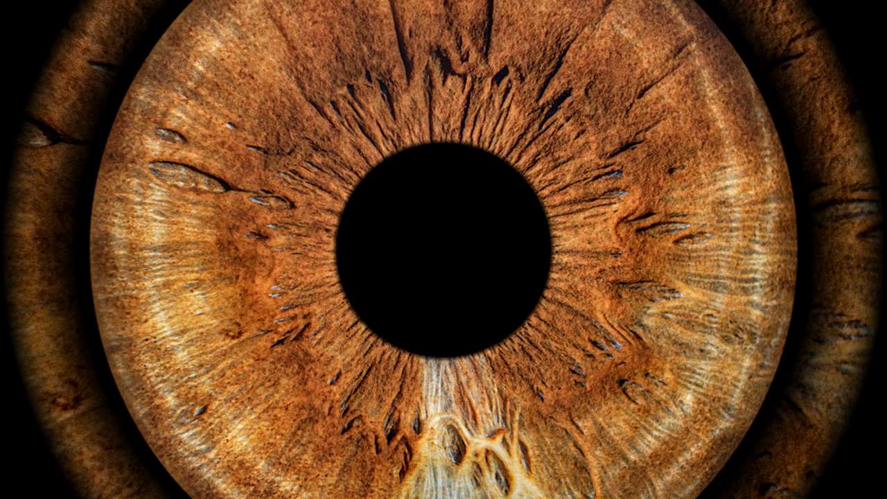 Premier EP : Projet Essentiels - Laura b