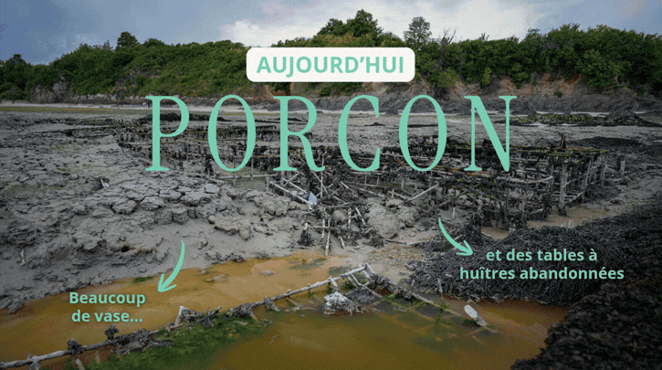 Porcon : la colloc’ algues & coquillages de demain