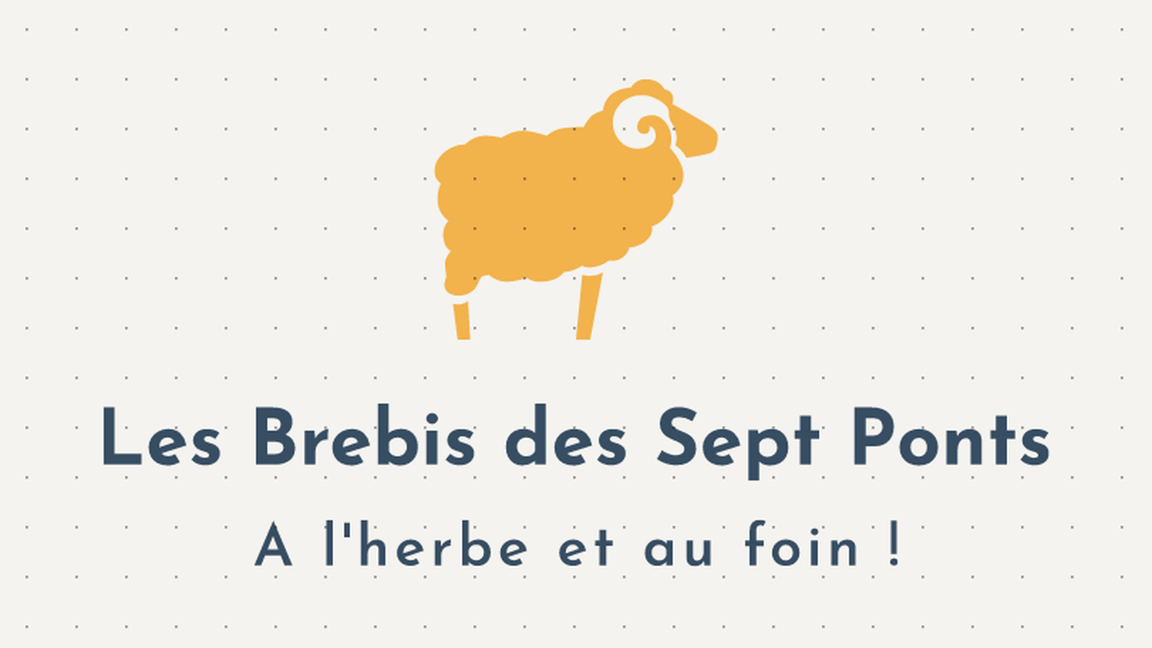 Brebis laitières à l'herbe et au foin - Ulule