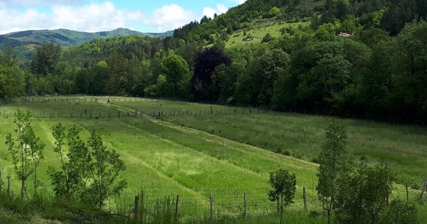 Vergers de Larcy - Ulule