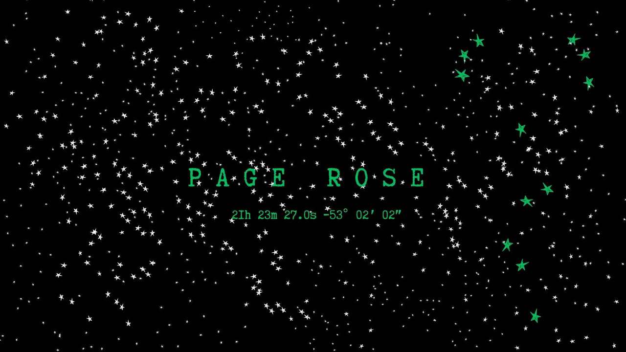 Ours Vert - PAGE ROSE