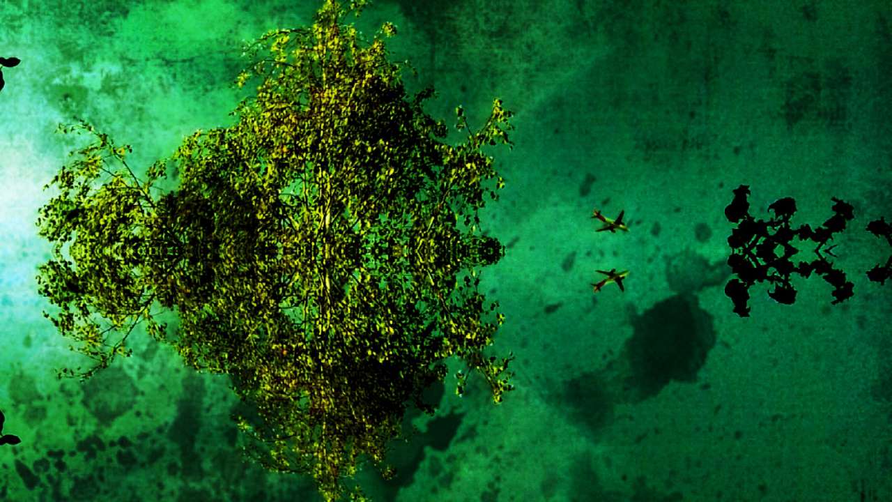 Projet de réalisation d'images photographiques