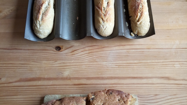 Du pain et des gâteaux biologiques - Ulule