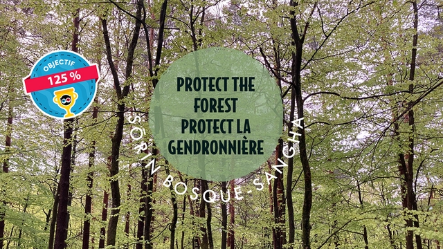 LET'S PROTECT THE FOREST, LET'S PROTECT LA GENRONNIERE - Ulule