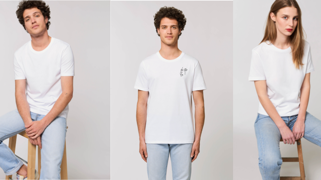 alizon-antoine - Ulule