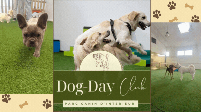 Dog-Day Club