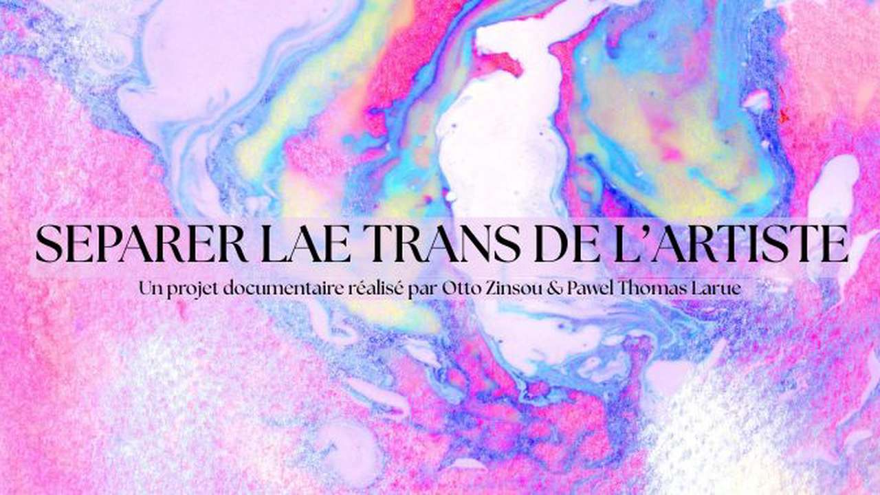 Documentaire - SÉPARER LAE TRANS DE L'ARTISTE
