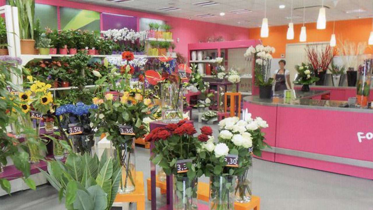 Aux 4 Lys, un projet "fleurissant" - Ulule