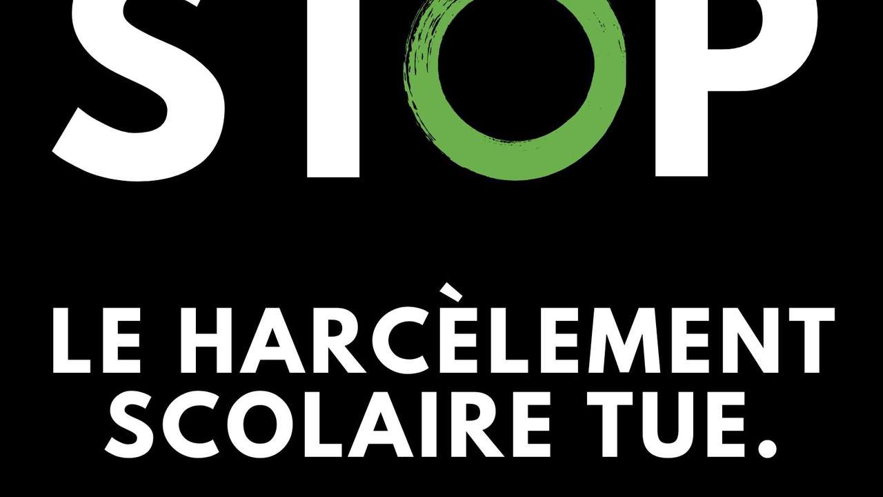 Accompagner et informer au harcèlement scolaire