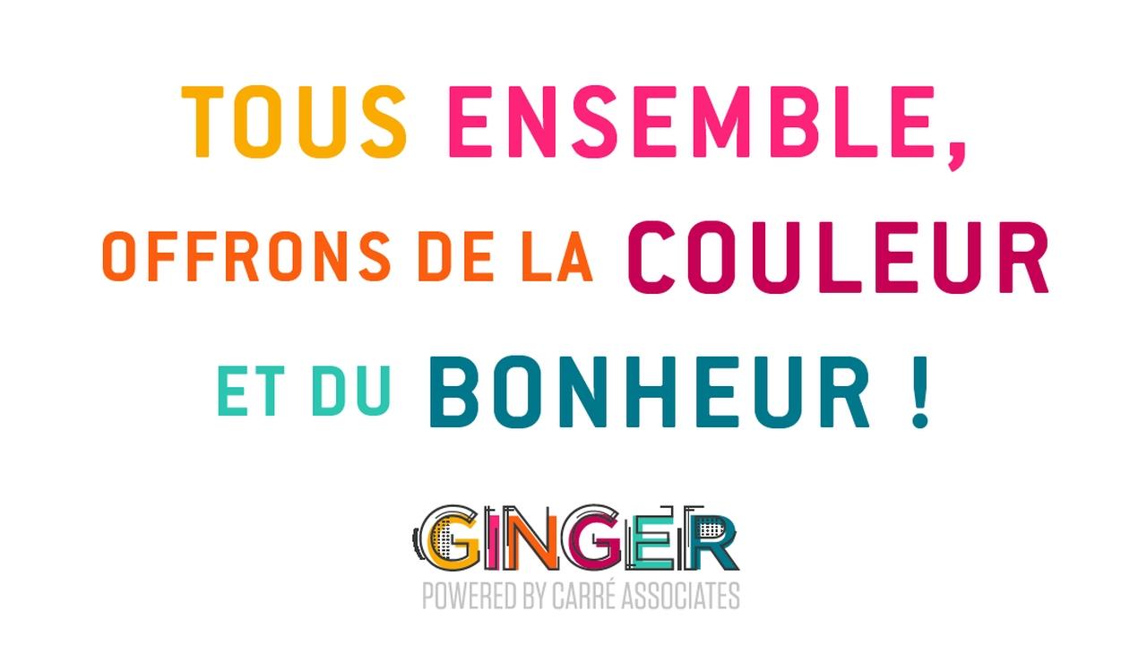 Projet Erasme by Ginger