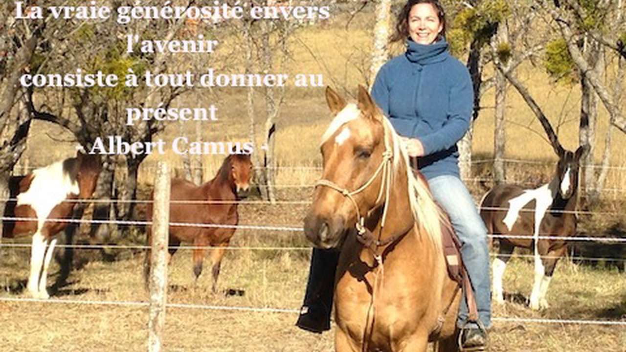 Un Amour de Cheval - Ulule