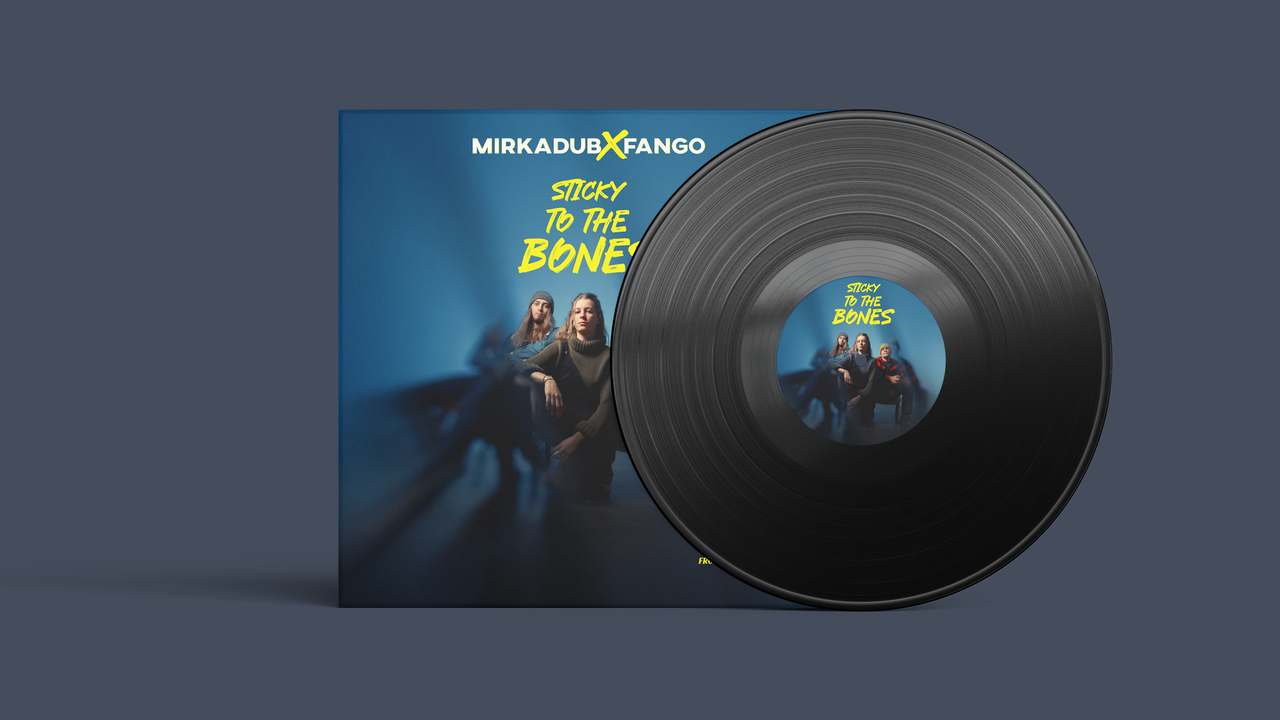 Pré-commande vinyle "STICKY TO THE BONES"
