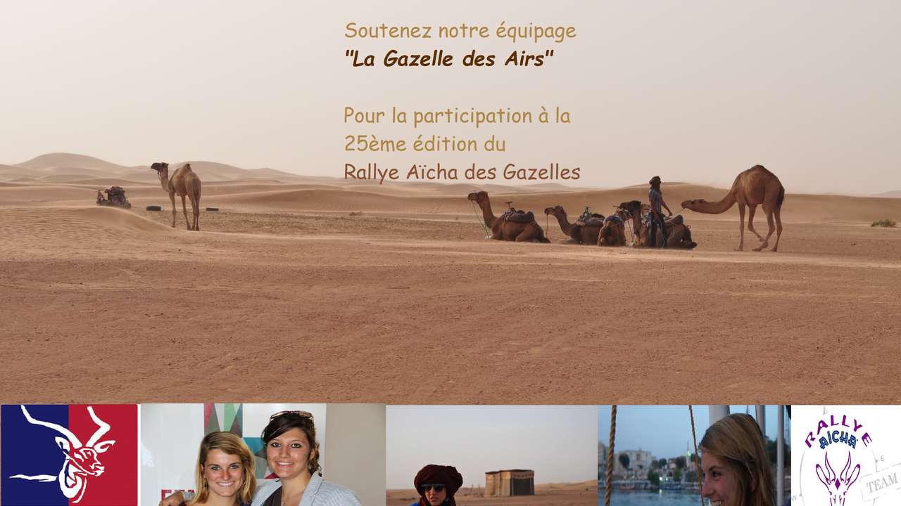 la Gazelle des Airs
