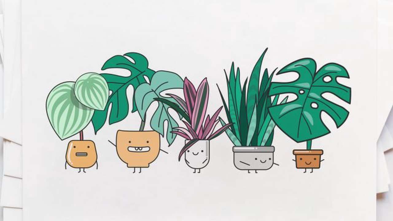 Petit projet goodies