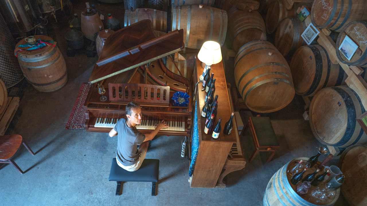 Vin en Mélodies de Couleurs et Imaginaires Symbolistes