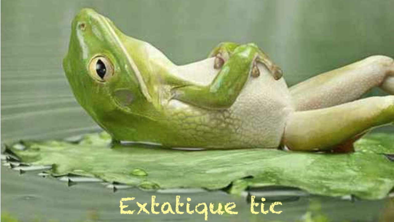 Extatique tic