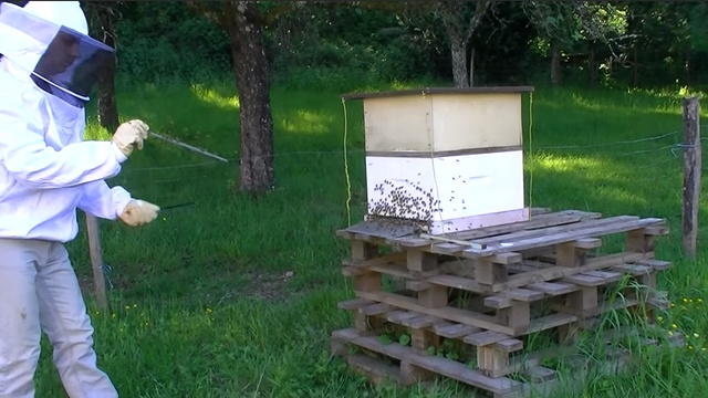 UN LOGEMENT POUR MES ABEILLES