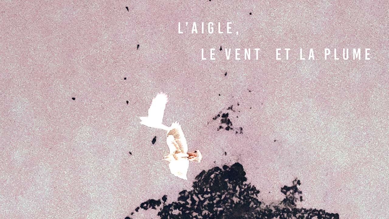 L'aigle, le vent et la plume