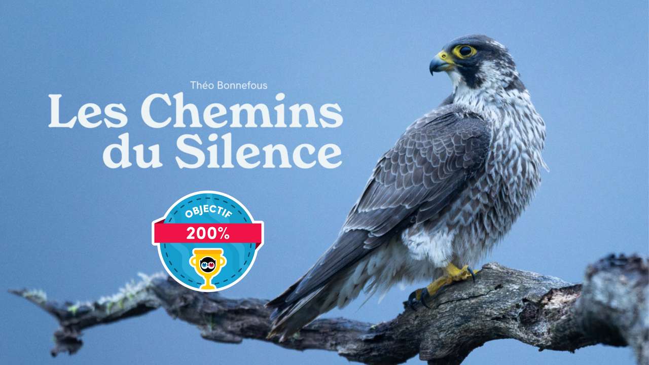 Les Chemins du Silence - Théo Bonnefous