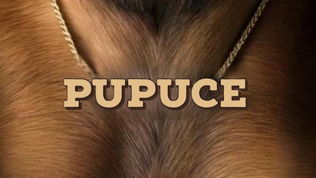 Pupuce, le court-métrage - Ulule