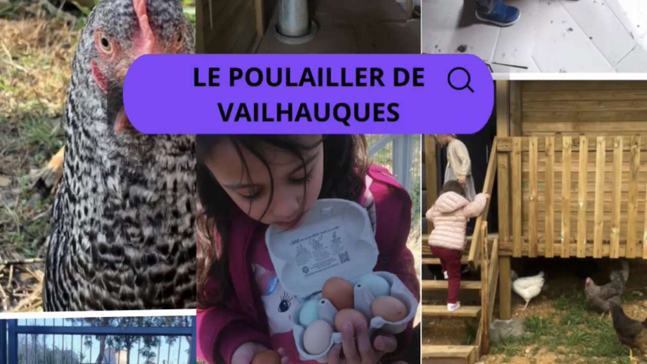 Le poulailler de Vailhauques 34570