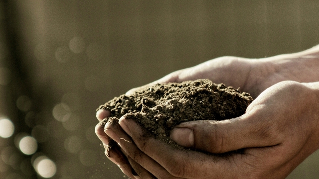 ESS et compostage, au cœur des Vosges