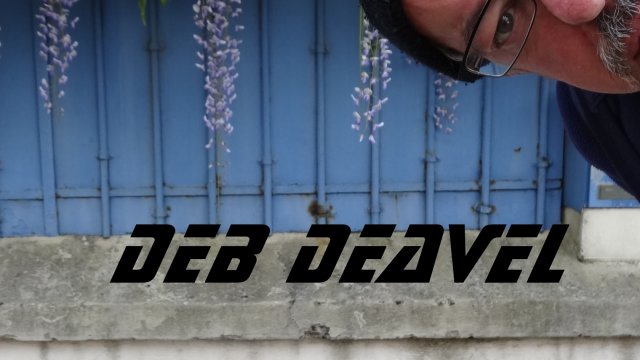 DEB DEAVEL