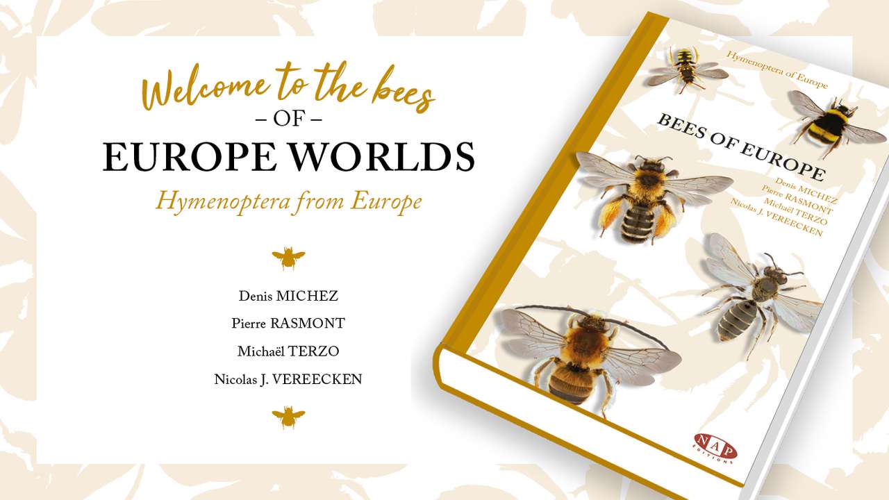 BEES OF EUROPE