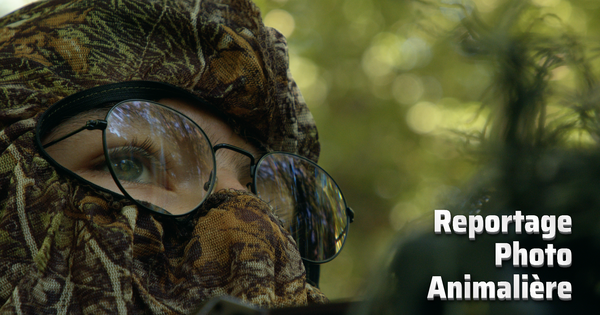 Reportage sur un jeune photographe animalier