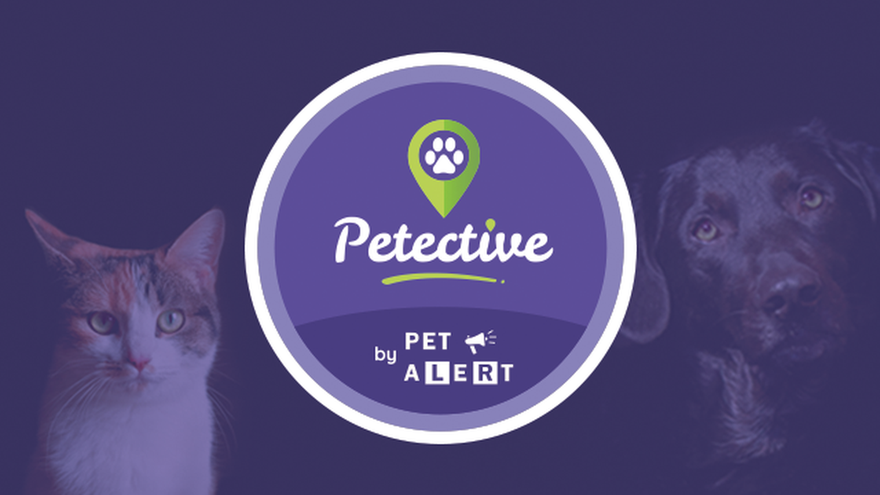 Petective by Pet Alert - Ulule