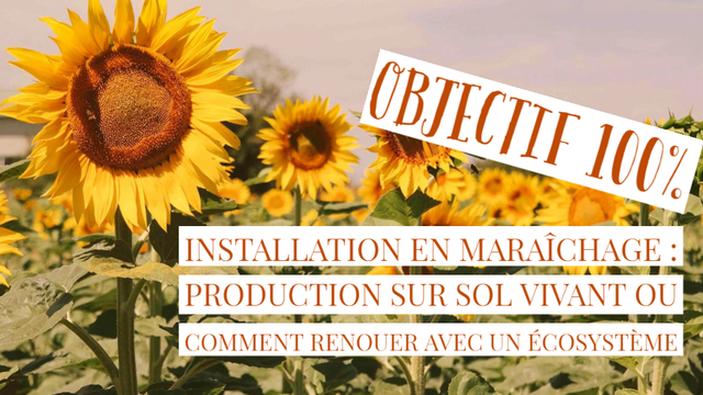 stephanie-pl - Ulule