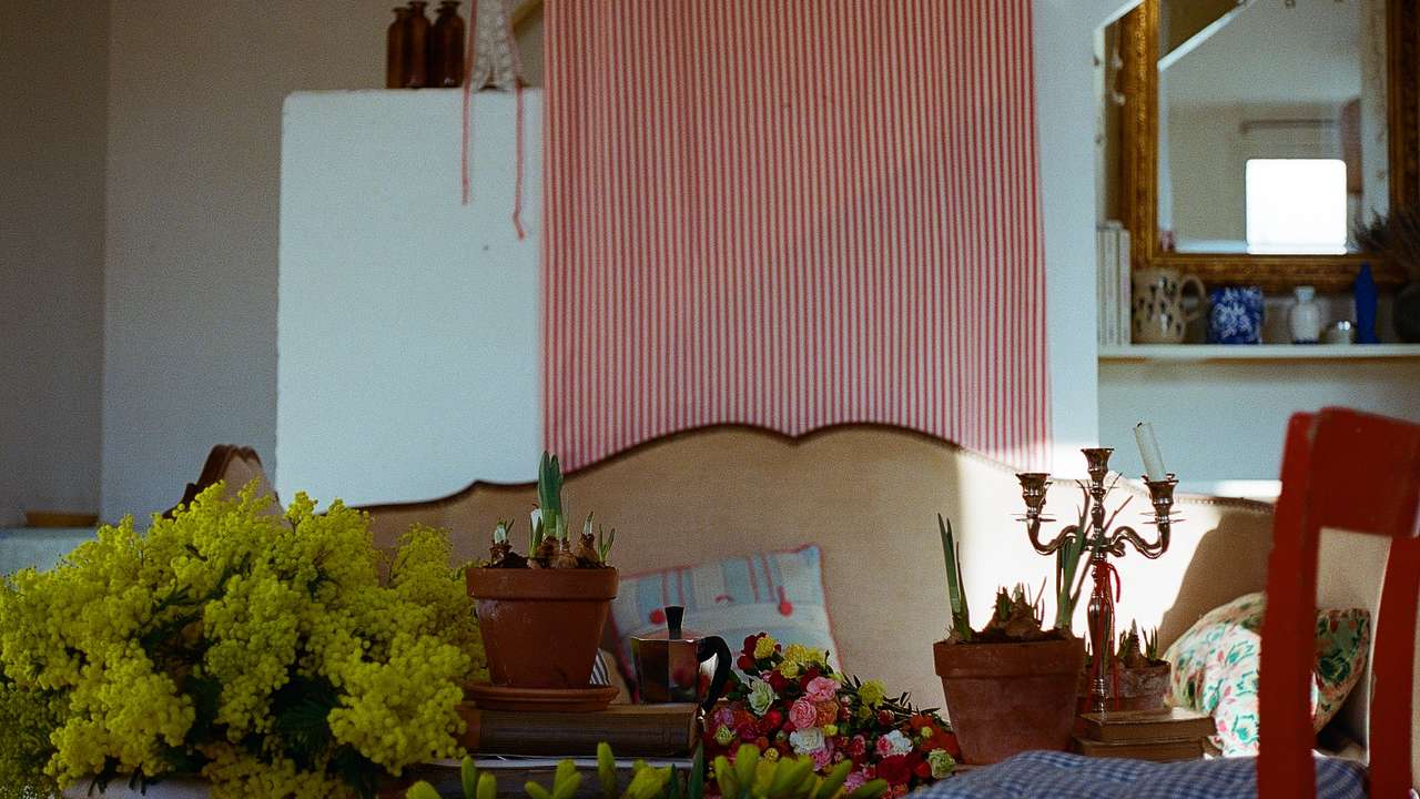 A YEAR IN BLOOM
