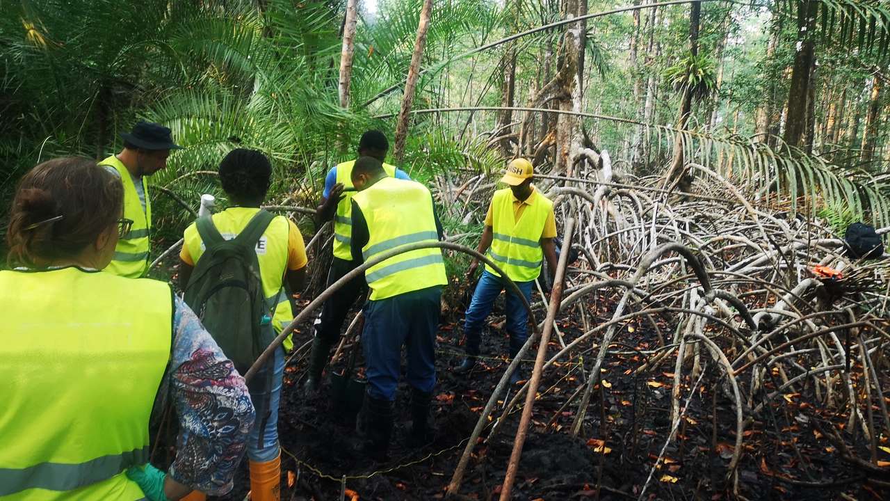 Aider les Etudiants et la Recherche au Gabon