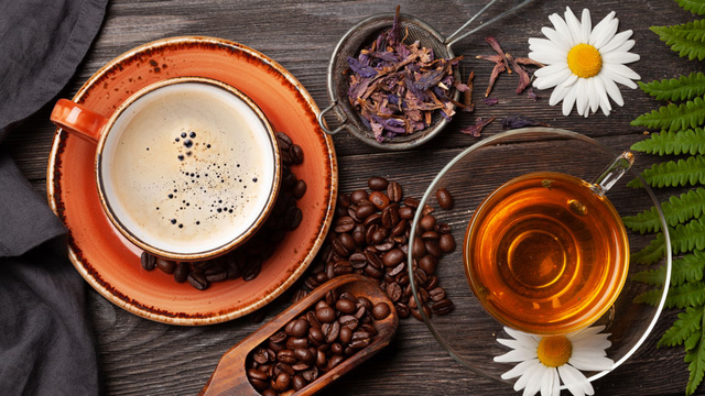 Bien Dans Ma Tasse - Pau