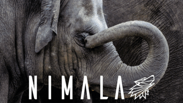 NIMALA, l'animal qui sommeille en toi.